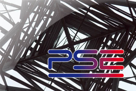 PSE zmienia logo